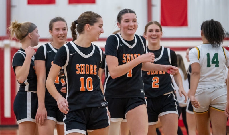 Jersey Shore girls shine in district semifinals, defeating Lewisburg ...